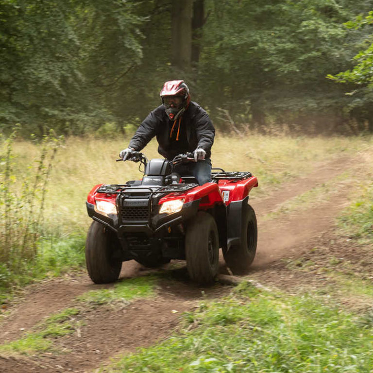 Honda TRX420 Fourtrax ATV - DA Forgie Limavady Lisburn