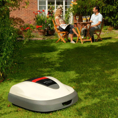 Honda Miimo 520 - DA Forgie Limavady Lisburn